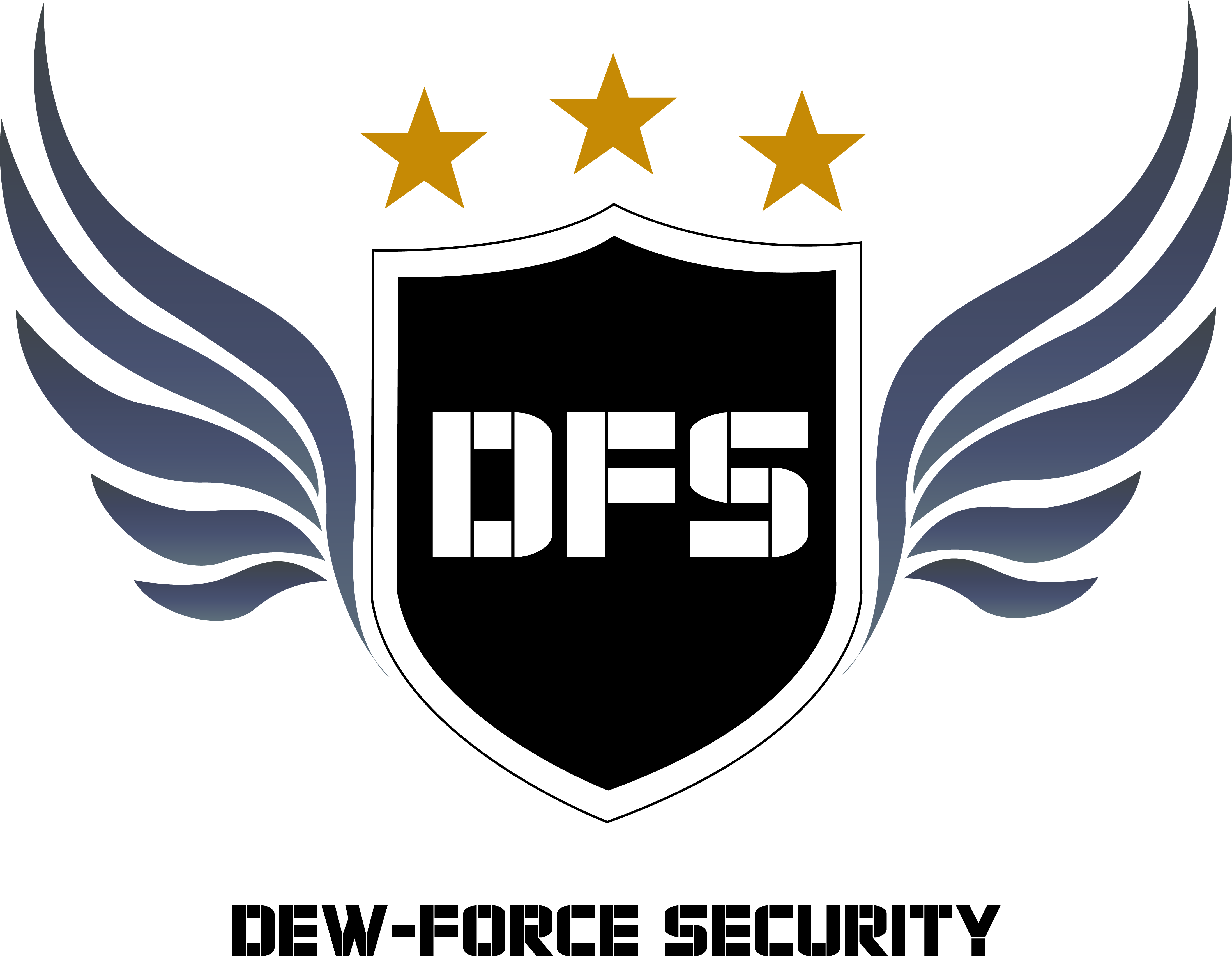 Dew Force Security: Your Trusted Guardians